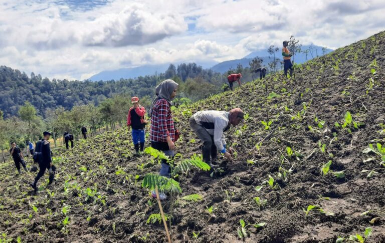 Upaya pelestarian lingkungan hidup yang dilakukan di Indonesia