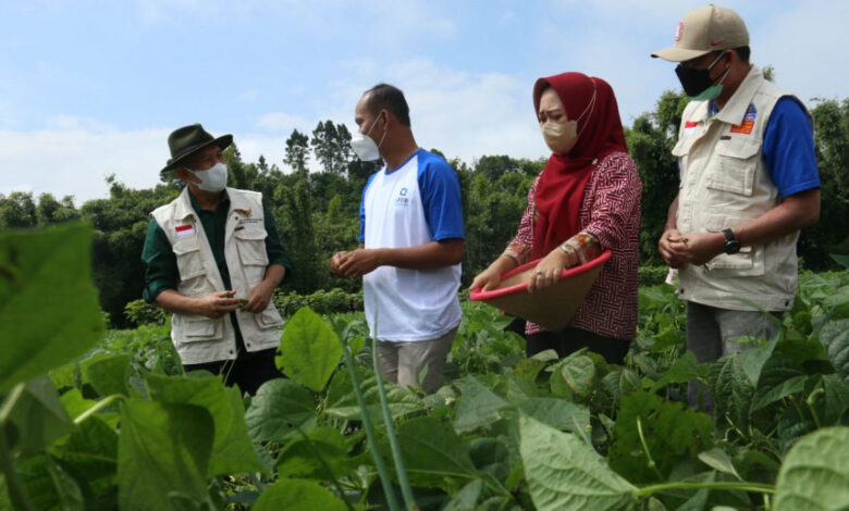 Peran Sosial: Menyelami Dinamika Interaksi Manusia dalam Masyarakat